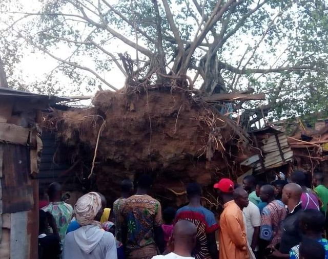 100-year-old 'Igi Odan' Falls In Oyo, Kills 4 Persons (SEE PHOTOS)